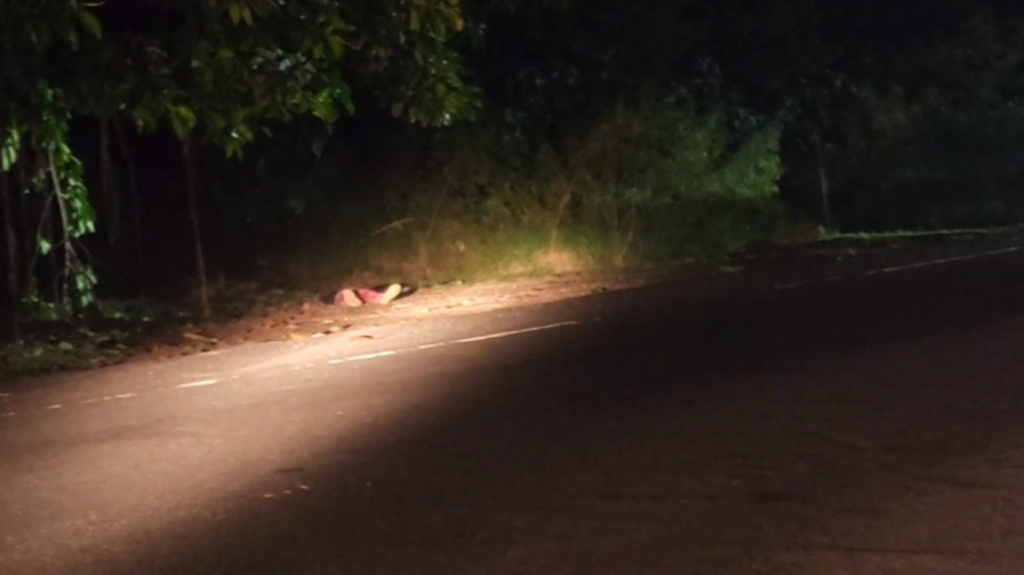 Video: Municipales de Dorado encuentran un hombre asesinado