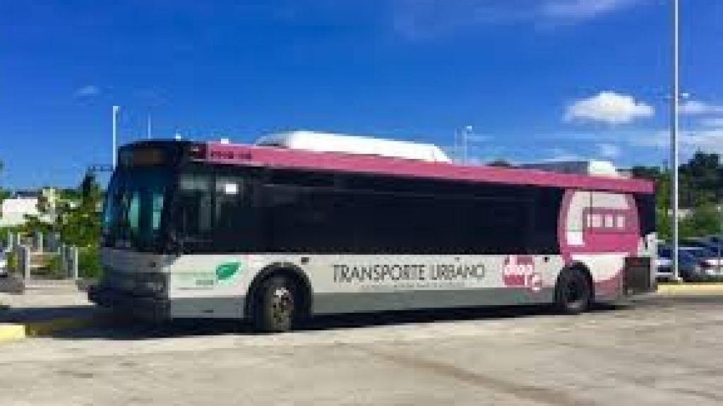 Choferes y mecánicos de la AMA sin licencia y guaguas en mal estado ...